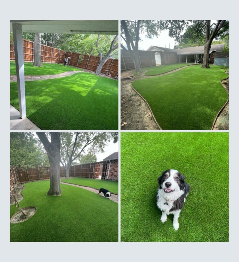 The Durability of Pet Turf and Its Resistance To Wear and Tear
